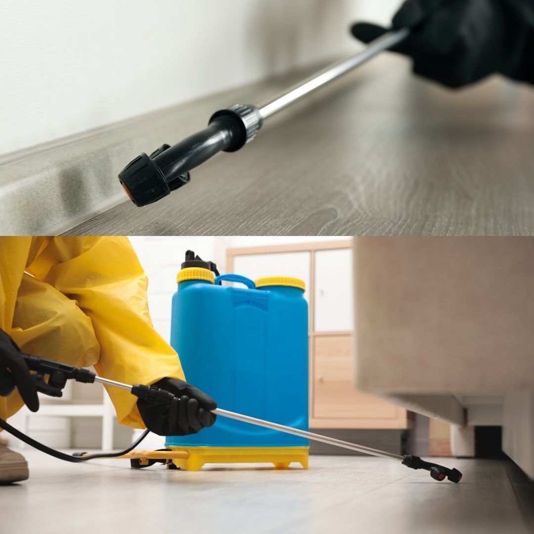 Pest Control Kuala Lumpur - Expert Local Exterminators | Same-Day Service